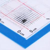 China High Current Schottky Diode ElecSuper B16WS with Plastic Encapsulation and Low Forward Voltage Drop for sale