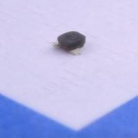 China Jingdao Microelectronics MM3Z30 Zener Diode Featuring 300mW Power Dissipation and Small SOD323 Package for sale