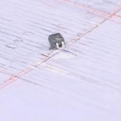 China High Speed Schottky Diode LRC LBAT54HT1G Low Forward Voltage Miniature Package for Circuit Protection for sale