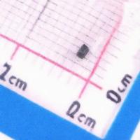 China R O BAT54X surface mount Schottky barrier rectifier suitable for low voltage high frequency circuits for sale