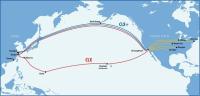 China Matson Express LCL FBA Shipping from China to USA 11 Days Transit for sale