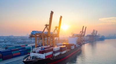 China Customs Brokerage Clearance Service from China to USA for Cosco EMC OOCL Shipments for sale