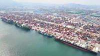 China Door to Door FBA Shipping Service to Canada USA with Duty Supply Chain Management for sale