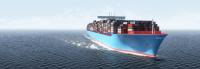 China Door to Door Shipping Services China to USA Canada DDP DDU Freight Forwarder for sale