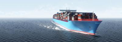 China Door to Door Shipping Services China to USA Canada DDP DDU Freight Forwarder for sale