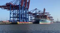China LCL Container Shipping from China to USA Canada 15-45 Days Door to Door for sale