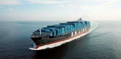 China LCL Sea Freight DDU Shipping Service from China to USA 20GP 40GP for sale