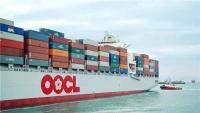 China International Walmart Shipping Agent from Shanghai Ningbo Xiamen Foshan to USA Canada LCL FCL for sale