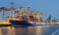 China LCL Container Shipping from China to USA Amazon FBA Fast Delivery 15-45 Days for sale