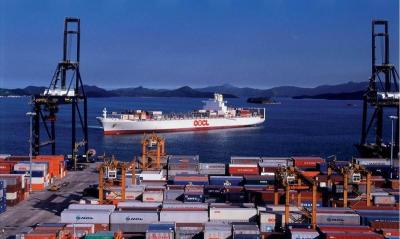 China Amazon FBA Walmart Freight Forwarder Shipping to USA Dropshipping Agent 1000Logistics for sale