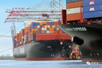 China DDP DDU Walmart Amazon FBA Shipping Rates From China to USA 16 Days for sale