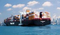 China LCL FCL Sea Freight Shipping for sale