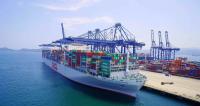 China Special Cargo Walmart Shipping from China to USA Canada Ocean Air Rail FCL LCL DDP for sale