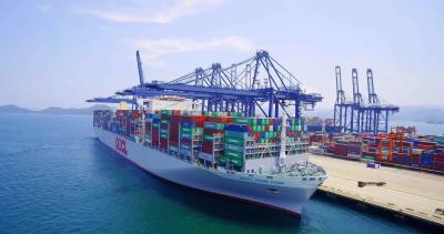 China Special Cargo Walmart Shipping from China to USA Canada Ocean Air Rail FCL LCL DDP for sale