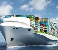 China FBA Amazon Freight Forwarder Sea Shipping from China to USA Canada DDP for sale