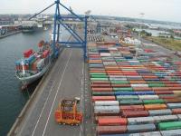 China Amazon FBA FCL Sea Freight Shipping Service from China to USA Customs Clearance Logistics for sale