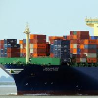 China Cosmetics Import Export Shipping Service Import From America To China Customs Clearance for sale