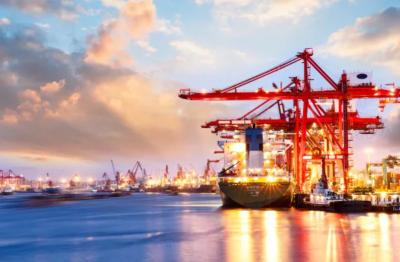 China Cross Border E Commerce Sea Cargo Freight Forwarding Service Fast Shipping Logistics for sale