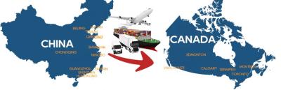 China China Shanghai to Toronto Canada DDU Shipping Ocean Amazon FBA Agent LCL FCL for sale
