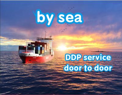 China Sea Freight DDP Shipping from China to Canada Door to Door Logistics Service for sale