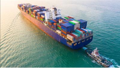 China Battery Sea Freight Agent China to America Lithium Battery Shipping 1000Logistics for sale