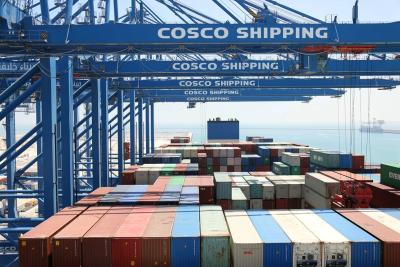 China Sea Freight from China to North America with Customs Clearance and Consolidation for sale