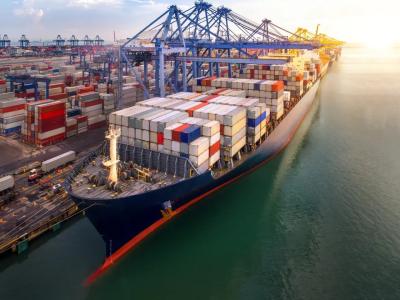 China FCL Container Amazon FBA Shipping Agent China to USA Sea Freight 20ft 40ft for sale