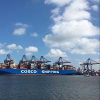 China FCL LCL Container Shipping Service 20GP 40GP 40HQ 45HQ China to USA Canada for sale