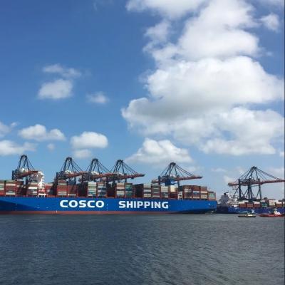 China FCL LCL Container Shipping Service 20GP 40GP 40HQ 45HQ China to USA Canada for sale