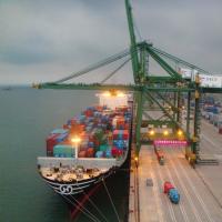 China Sea Freight Shipping Forwarder 20GP 40GP 40HQ Container Customs Clearance NVOCC for sale
