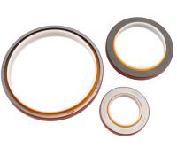 China 3801468 Cum mins NT855 NTA855 Lower Gasket 4024919 3801235 3801463 3801574 for sale