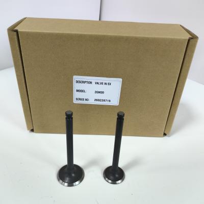 China 2GM20 Intake Exhaust Valve Set For Yanmar Marine Diesel Engine for sale