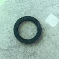 China Crankshaft Rear Oil Seal for Yanmar 2TNE68 Diesel Engine for sale
