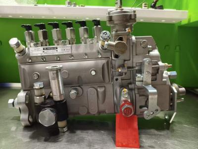 China 4063844 Fuel Injection Pump for Cum mins 6BT 6BTA 5.9L 105404-6080 for sale