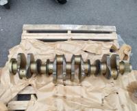 China Engine Crankshaft For CAT C11 Diesel Engine Excavator Construction Machinery for sale