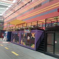 China Custom Creative Steel Container Living Solutions 20ft 40ft for sale