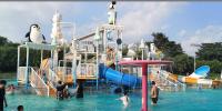 China Splash Water Playground Animal-Themed Water Castle FRP Slides Splash Features Custom Aqua Play for Kids for sale