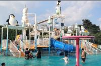 China Splash Water Playground Animal-Themed Water Castle FRP Slides Splash Features Custom Aqua Play for Kids for sale