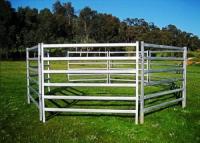 China High Strength Q345 Steel Horse Fence Anti Chew Coating 1.8m Height for sale