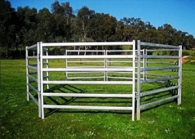 China High Strength Q345 Steel Horse Fence Anti Chew Coating 1.8m Height for sale