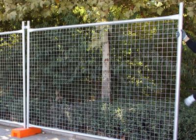 China Hot Dip Galvanized Canada Australia Temporary Fence For Events 6*10ft for sale