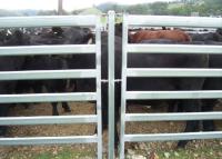 China Anti Impact Galvanized Livestock Fence Panels Multi Terrain For Large Cattle / Horse Ranches for sale