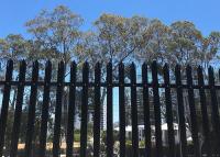 China Galvanized Europe Fence W Type Wrought Iron Palisade Fencing For Safety for sale