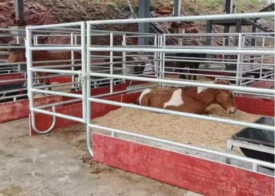 China Hot Dipped Galvanized Horse Fence Panels For Farm Animals Heavy Duty Livestock Panels for sale