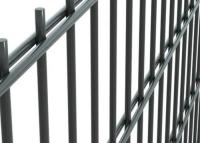 China Clear View PVC Coated 868 Twin Wire Mesh Fencing Garden Fence / Trellis / Gate for sale