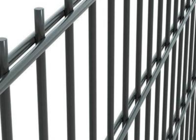 China Clear View PVC Coated 868 Twin Wire Mesh Fencing Garden Fence / Trellis / Gate for sale