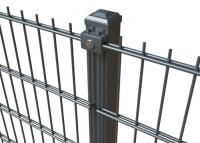 China Clear View PVC Coated 868 Twin Wire Mesh Fencing Garden Fence / Trellis / Gate for sale