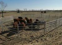 China 1.8 * 2.1m Galvanized Metal Horse Corral Fence Round Pen For Farm for sale