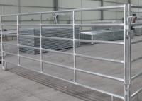 China Outdoor Horse Cattle Goat Steel Livestock Panels 1.6*2.1m Powder Coated for sale
