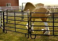 China Outdoor Horse Cattle Goat Steel Livestock Panels 1.6*2.1m Powder Coated for sale